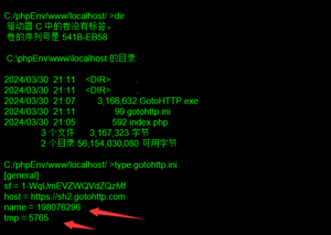 Knowledge Collection: 【远程控制】GotoHTTP 无视杀软实现远控